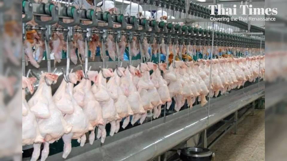 Thailand is world’s 3rd-largest chicken exporter, generates THB100 bn ...