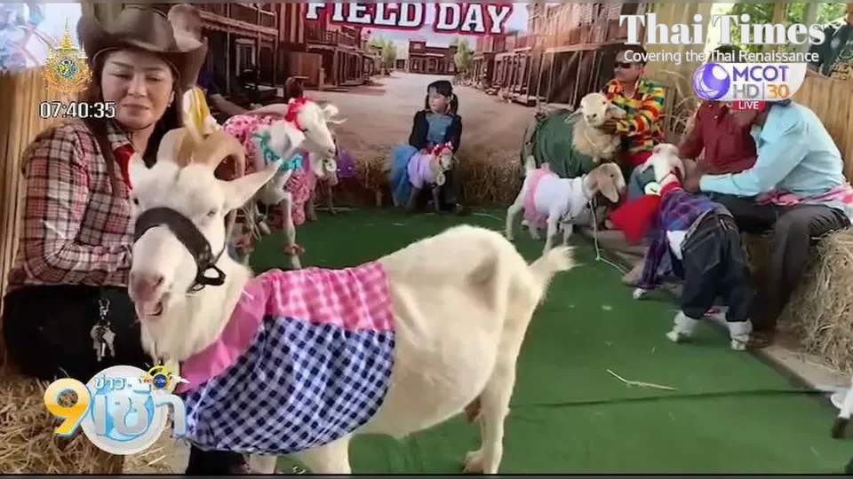 Trang Hosts Inaugural Goat Costume Competition - Thai Times