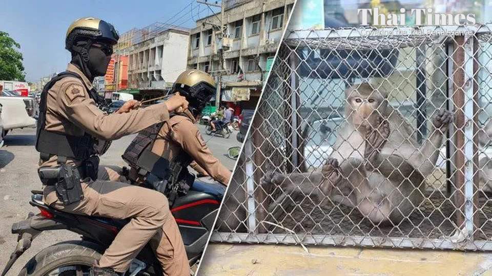 New Police Unit Targets Problematic Monkeys - Thai Times